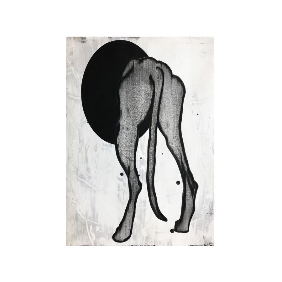 Portfolio - Luc Palmer