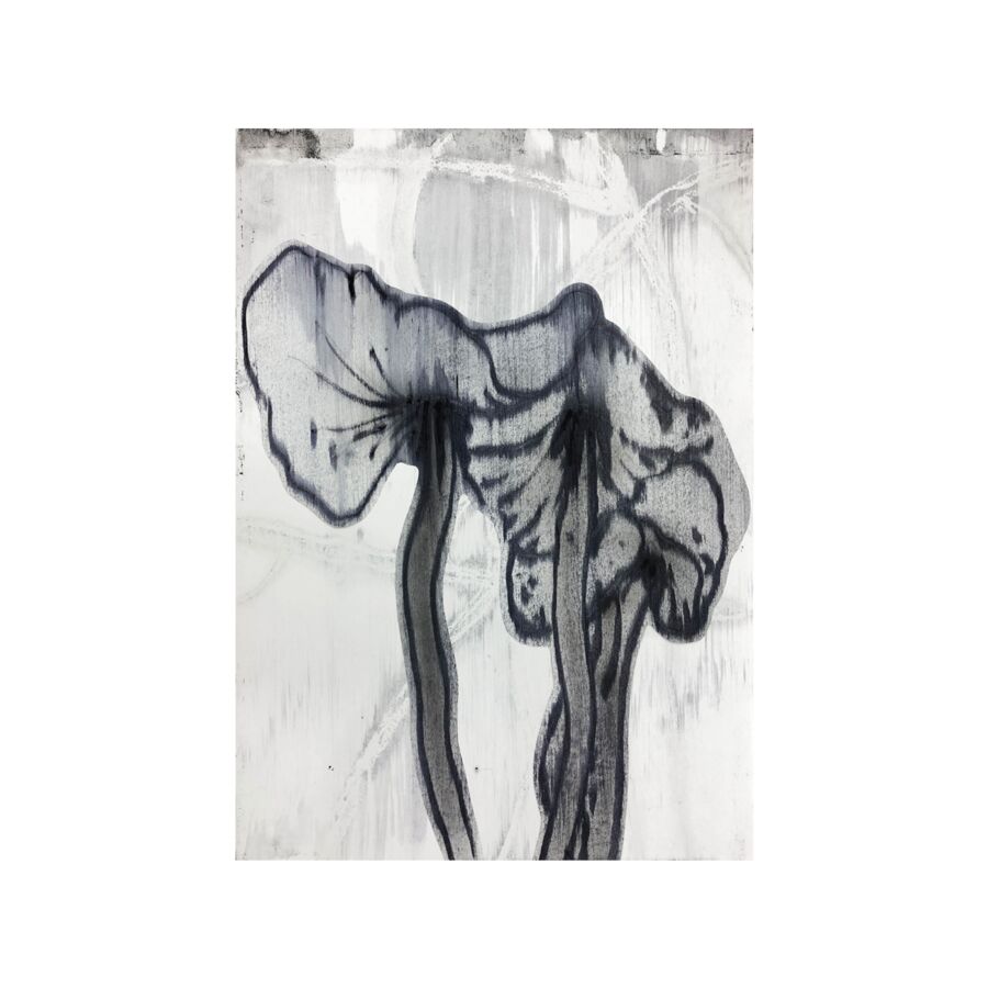 Portfolio - Luc Palmer